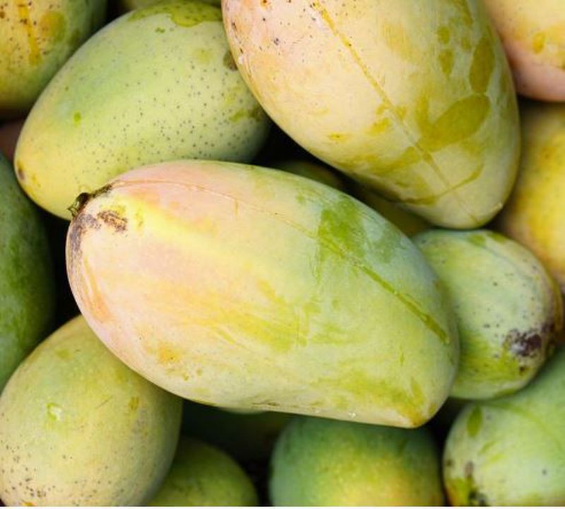 Mangga