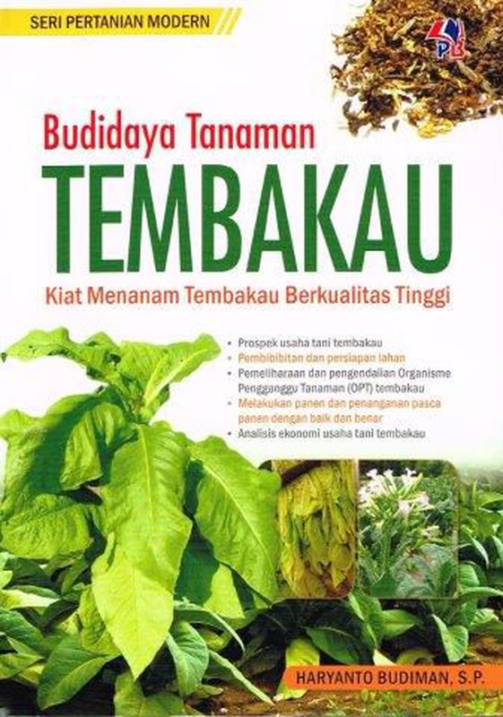 Budidaya Tanaman Tembakau Kiat Menanam Tembakau Berkualitas Tinggi
