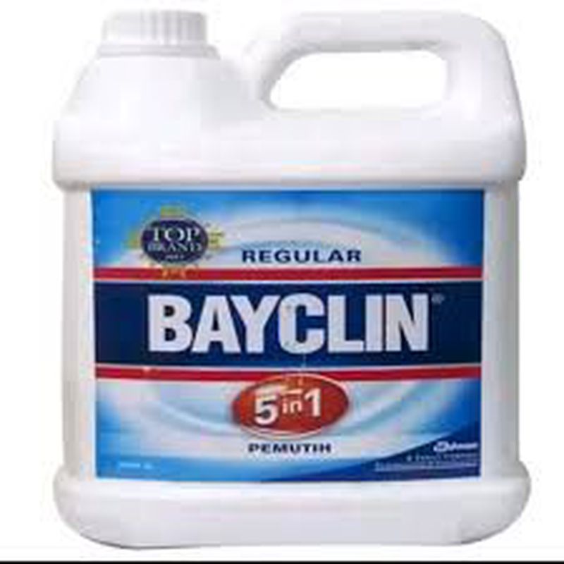 Bayclin Regular 4 Liter / 4000 ml