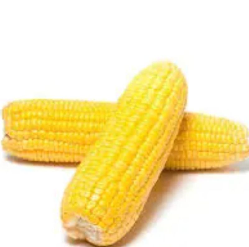 Jagung