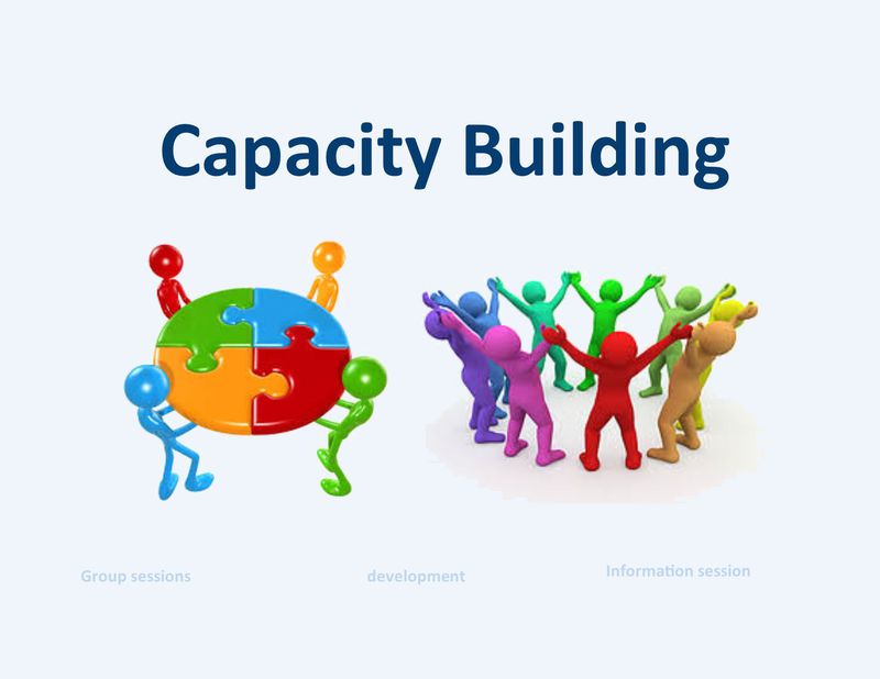 Kegiatan Capacity Building