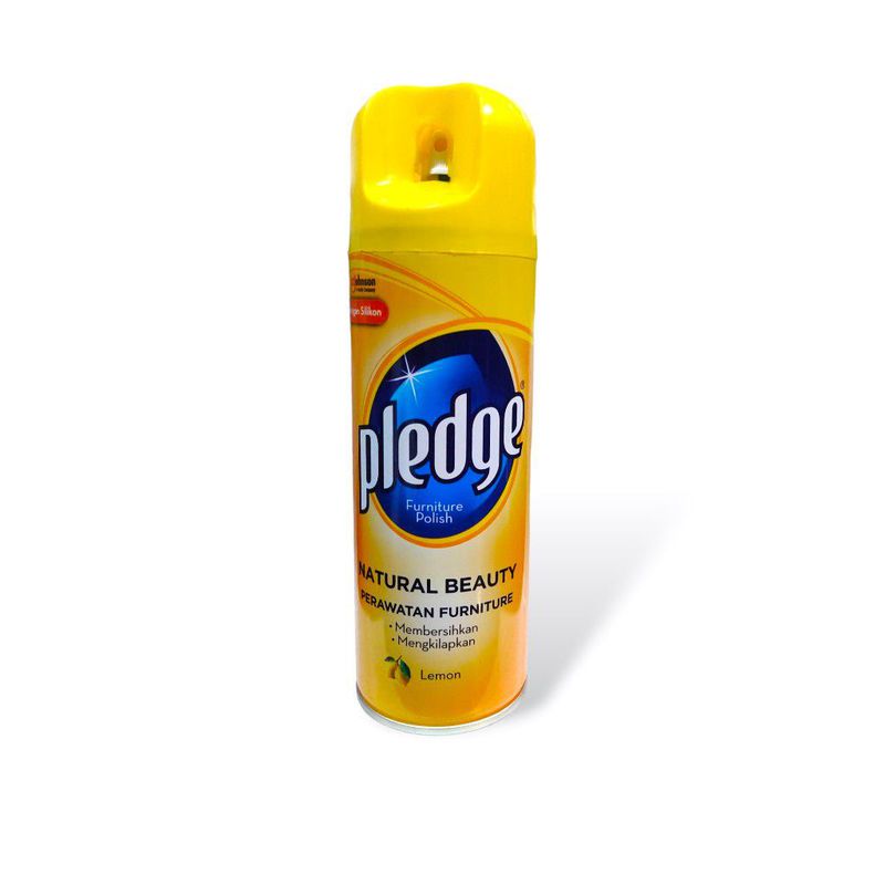 PLEDGE AER ORANGE 160GR