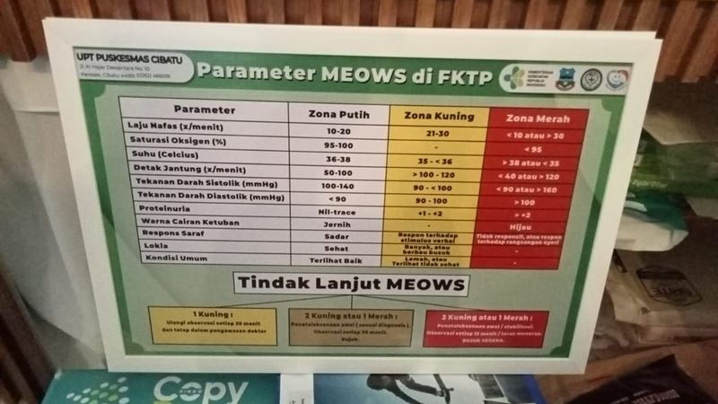 Cetak Parameter MEOWS di FKTP + Frame