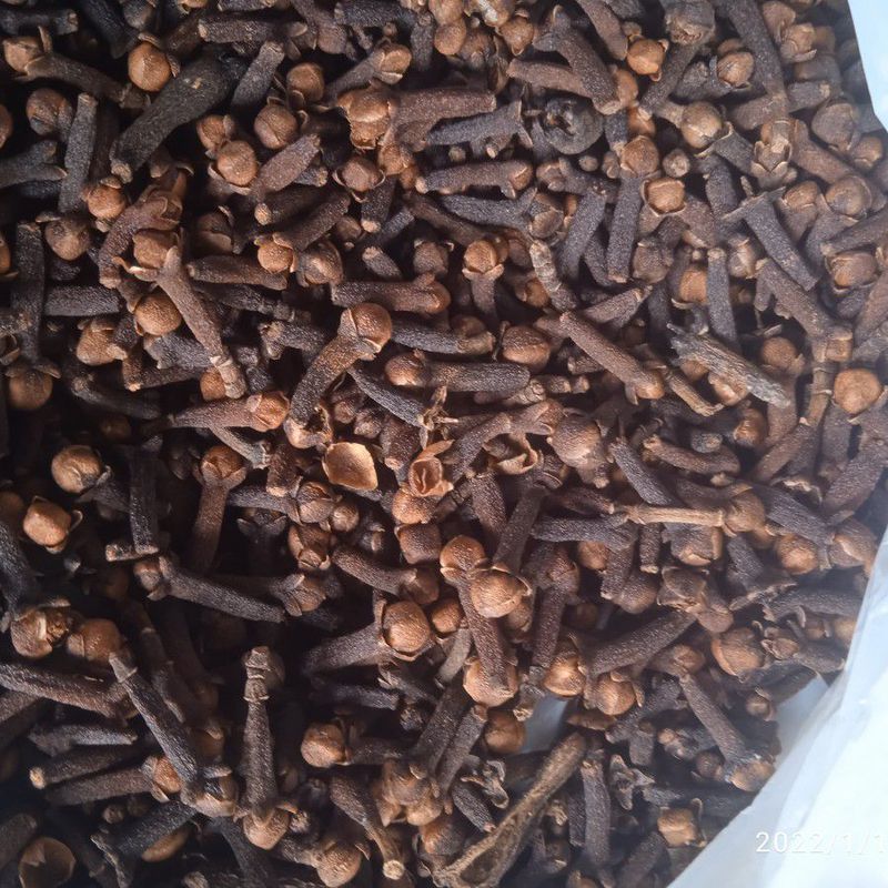 Bunga Cengkeh/cengkeh