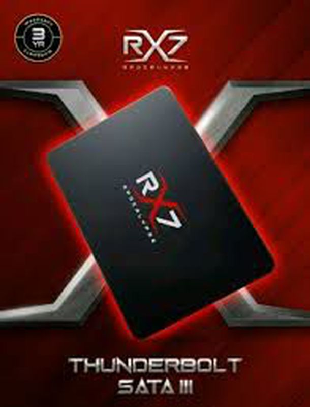 SSD RX7 256 GB