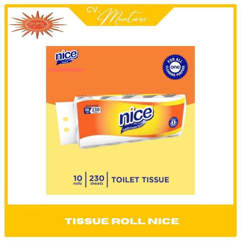 TISSUE ROLL NICE ISI 10