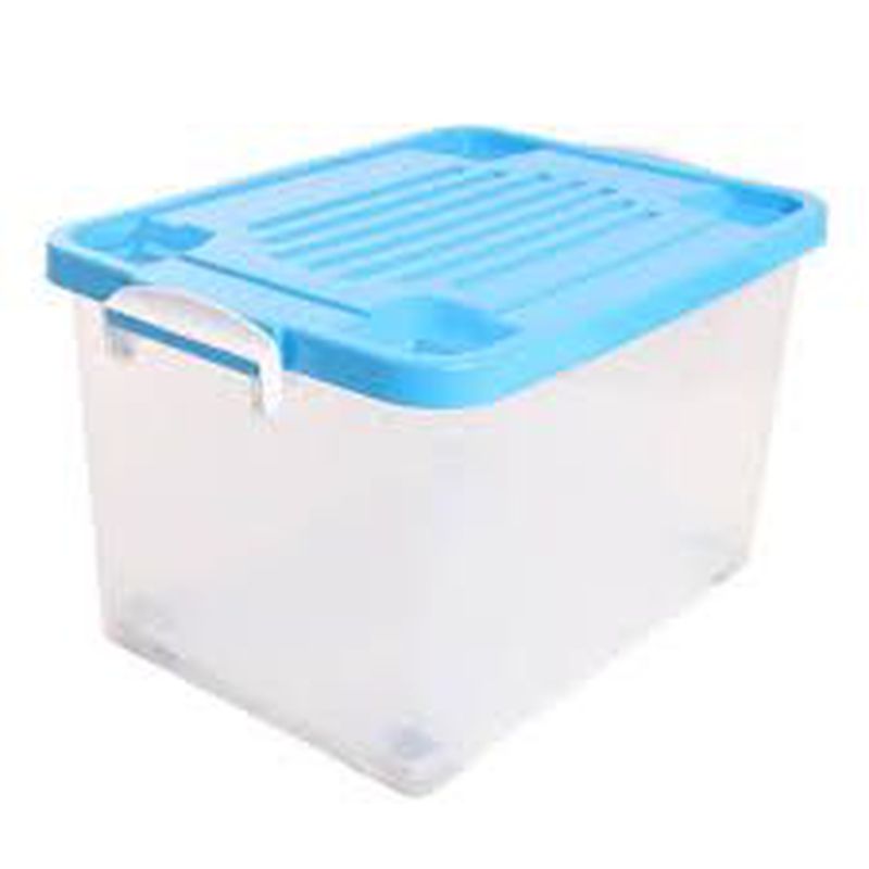 Box Container 50 L