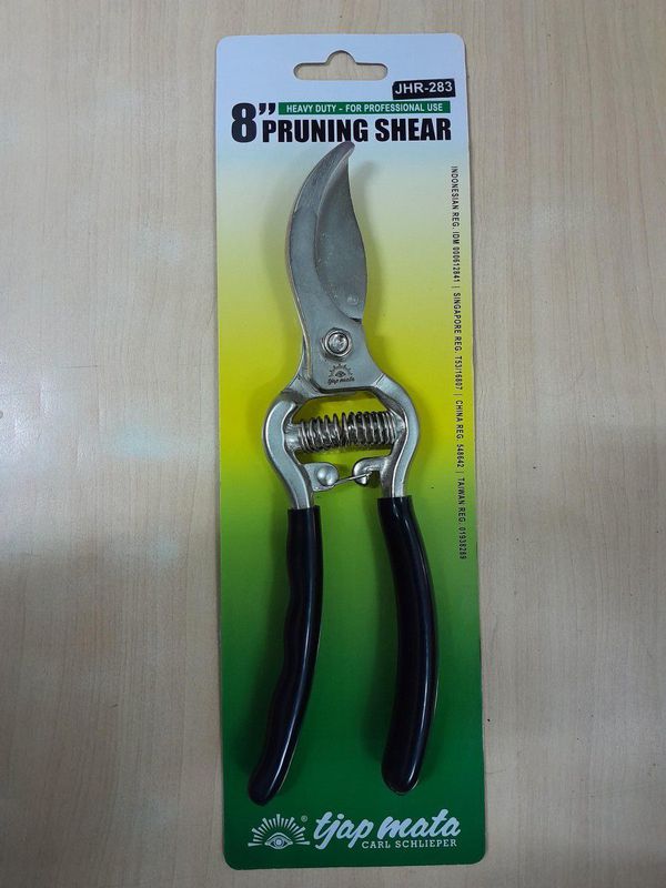 Gunting Stek 8"