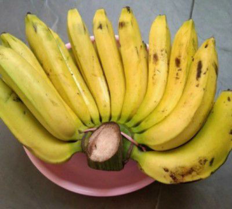 BUAH PISANG AMBON