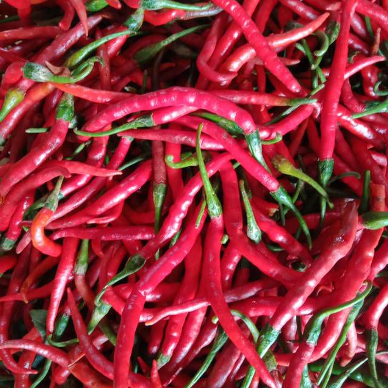 Cabe Merah