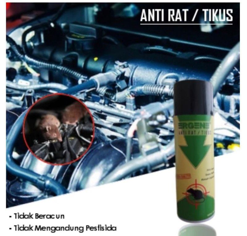 Anti Rat / Tikus Spray 300ml - Rat Repellent - Parfum Pengusir Tikus ...