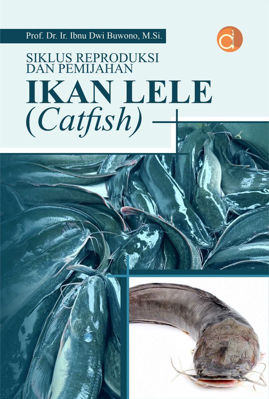 Siklus reproduksi dan pemijahan ikan lele (Catfish)