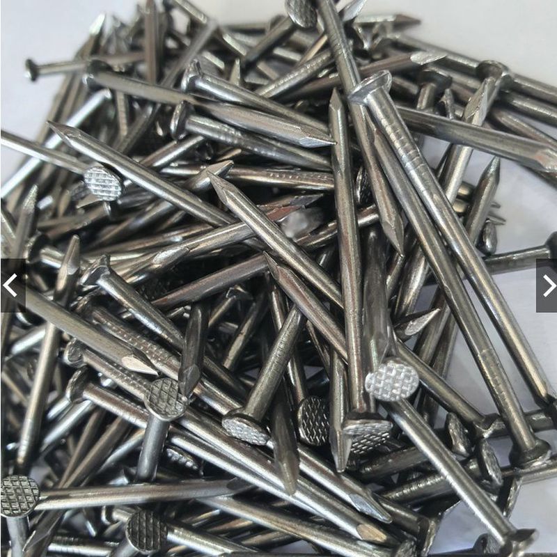 Paku biasa uk. 1 - 2,5 cm