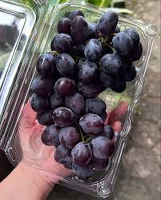 ANGGUR HITAM AUTUM 500GRM