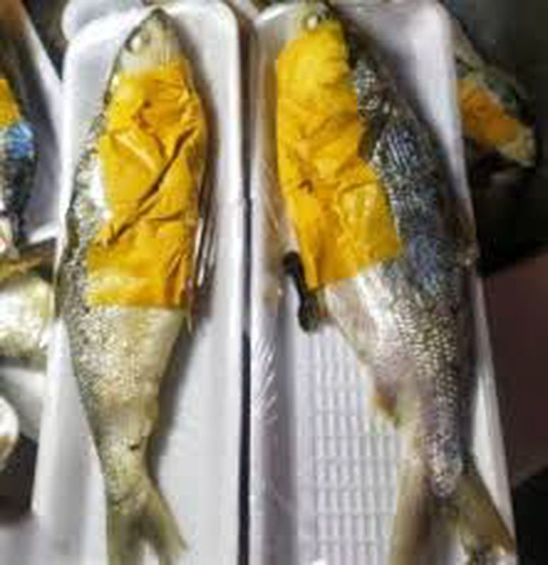 PINDANG BANDENG PRESTO (EKOR)
