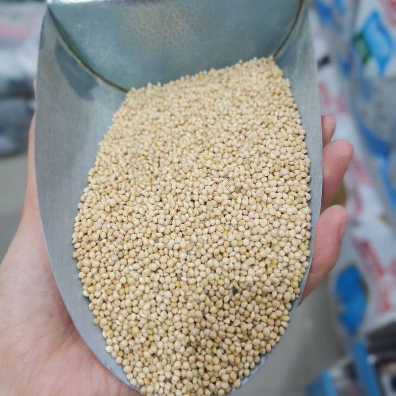 Millet