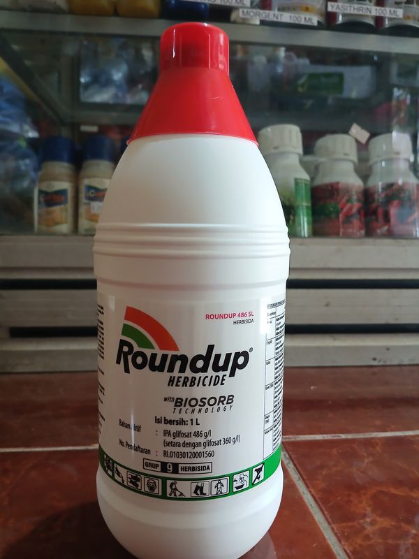 Roundup