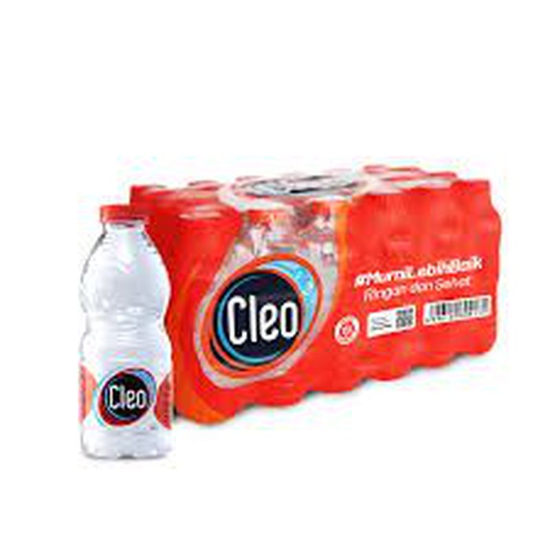 CLEO SMART BOTOL MINI 220 ML