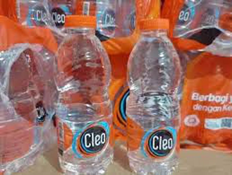 AIR MINERAL CLEO 220 Ml