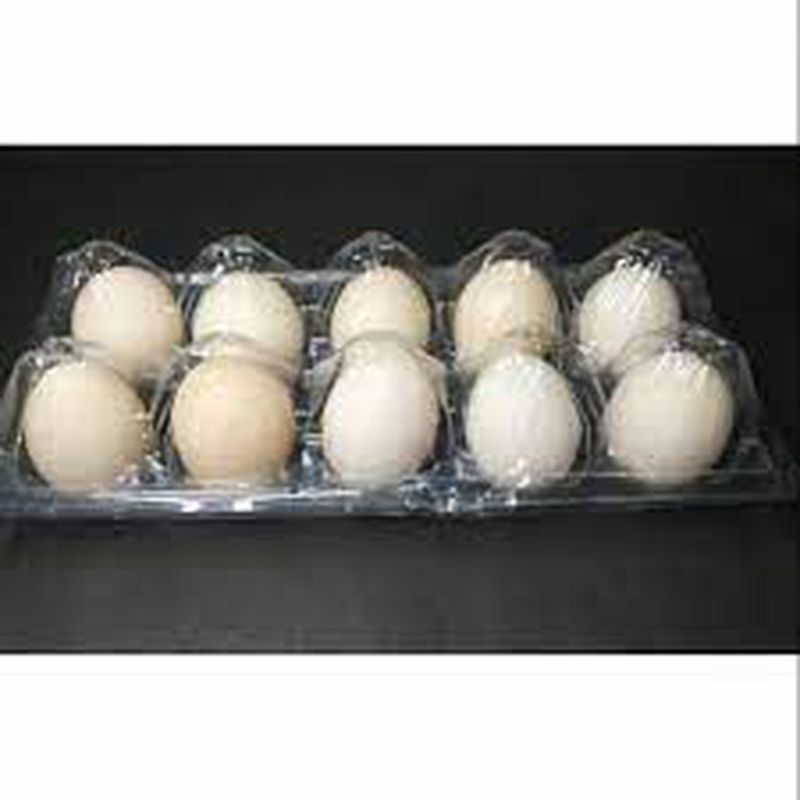 TELOR AYAM KAMPUNG (PACK)