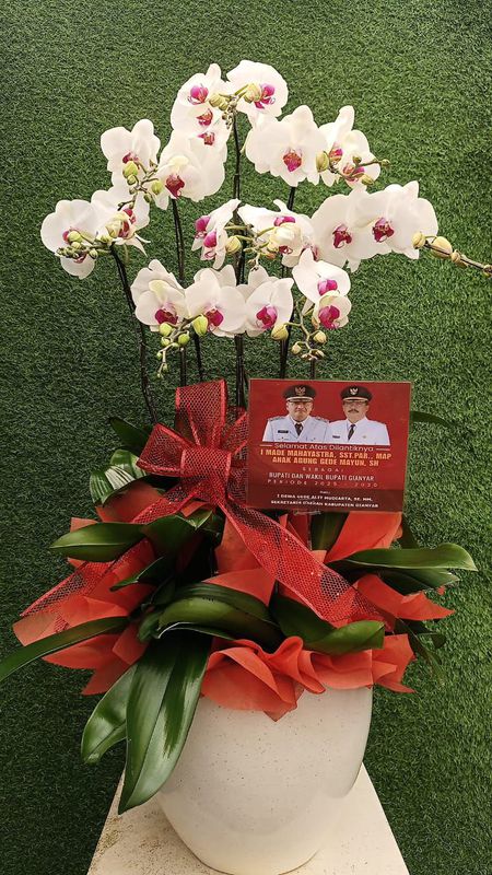 Buket Teraso Bunga Anggrek isi 10