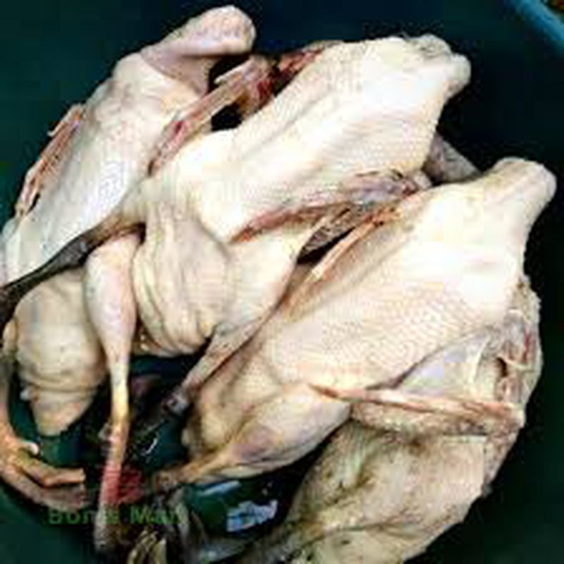 Daging itik/bebek kampung