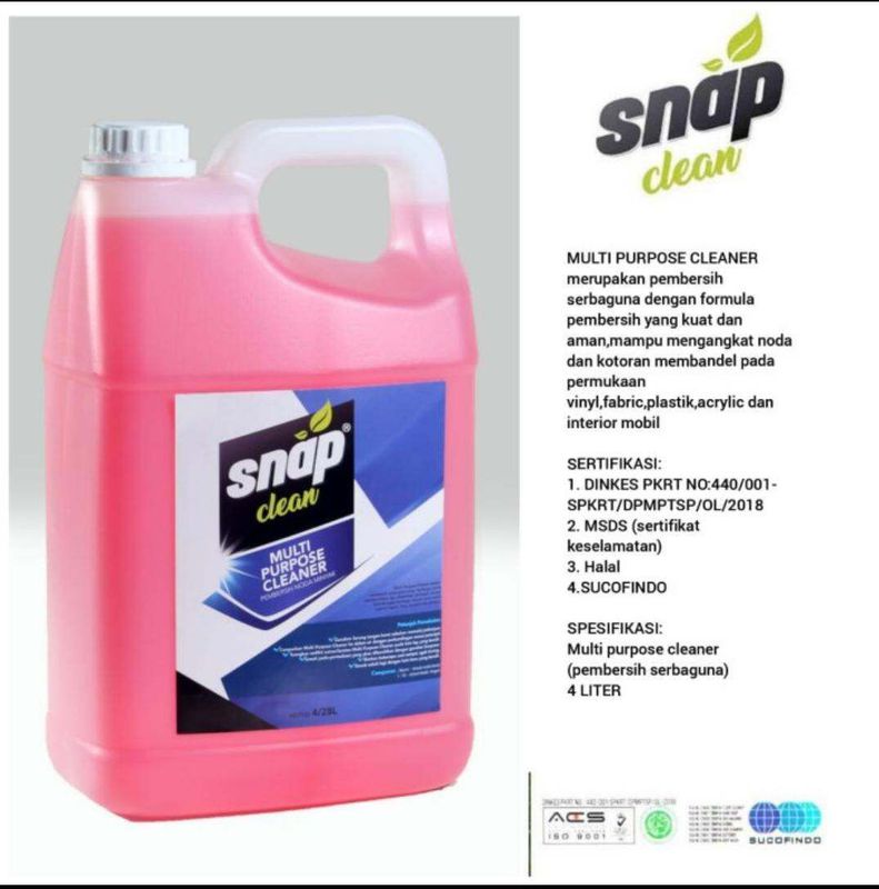 SNAP chemical cleaning service - MPC