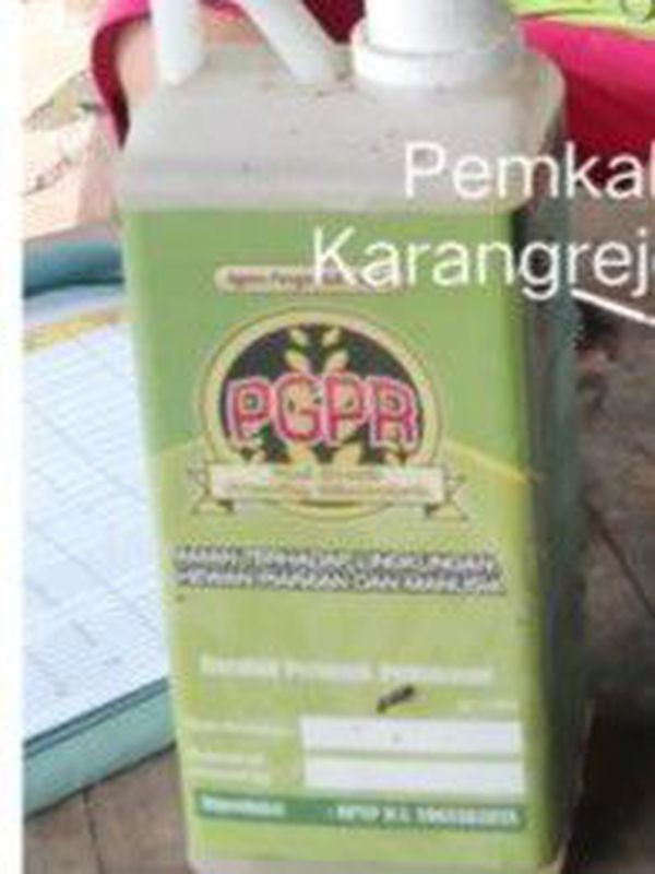 Pupuk PGPR