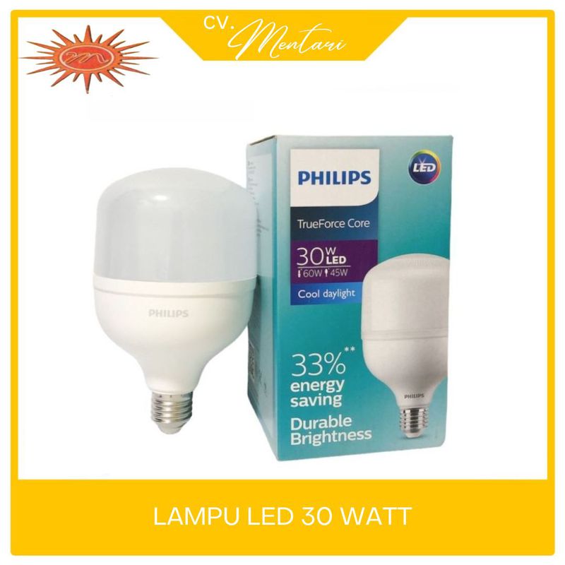 LAMPU LED 30W