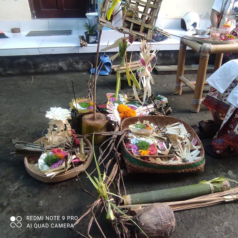 Caru Ayam brumbun kangkep