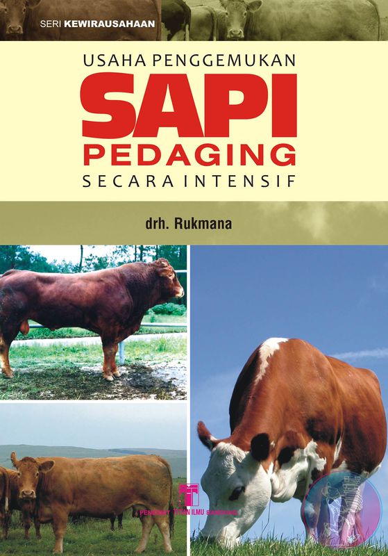 USAHA PENGGEMUKAN SAPI PEDAGING SECARA INTENSIF