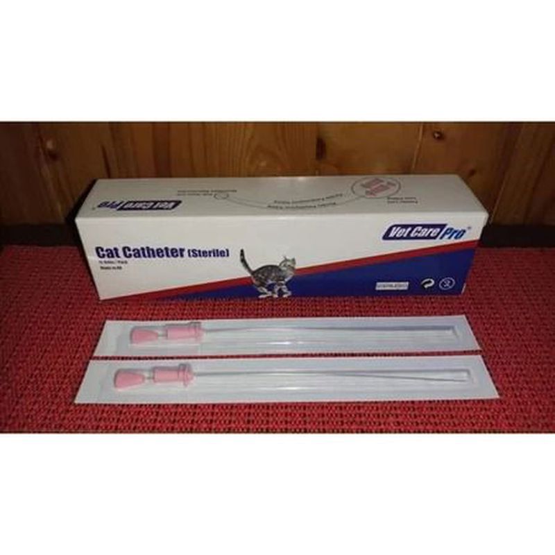 Kateter Kucing