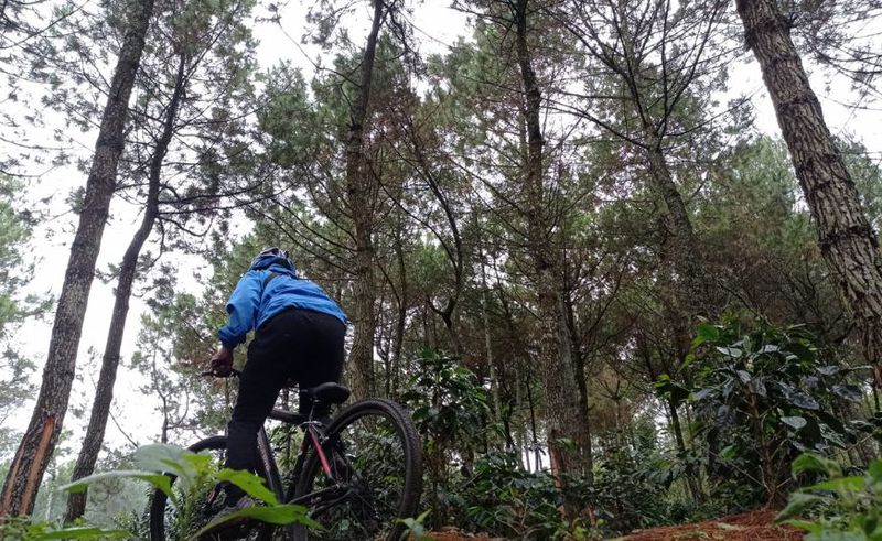 Ride & Explore – Bandung Fun Bike Adventure! - 10 Pax