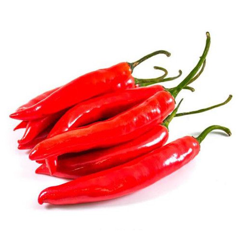 Cabe Merah Teropong