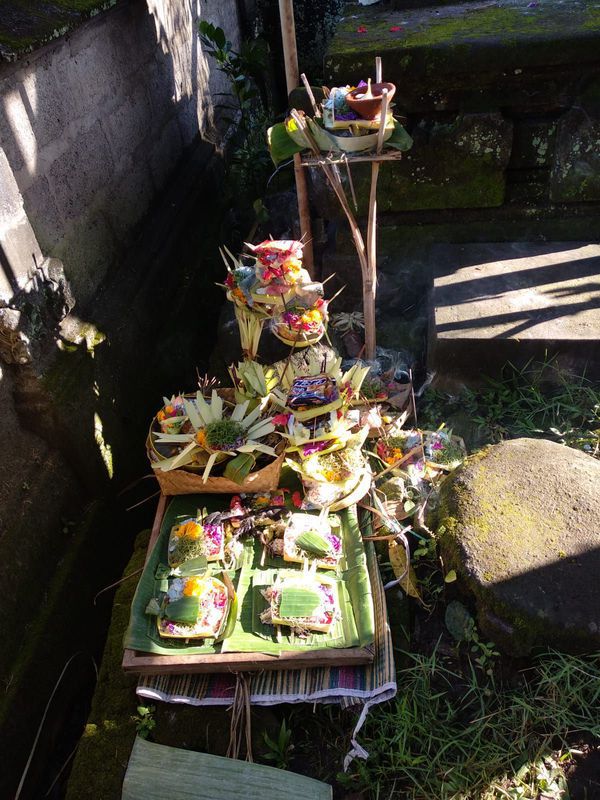 CARU SIAP BRUMBUN JANGKEP