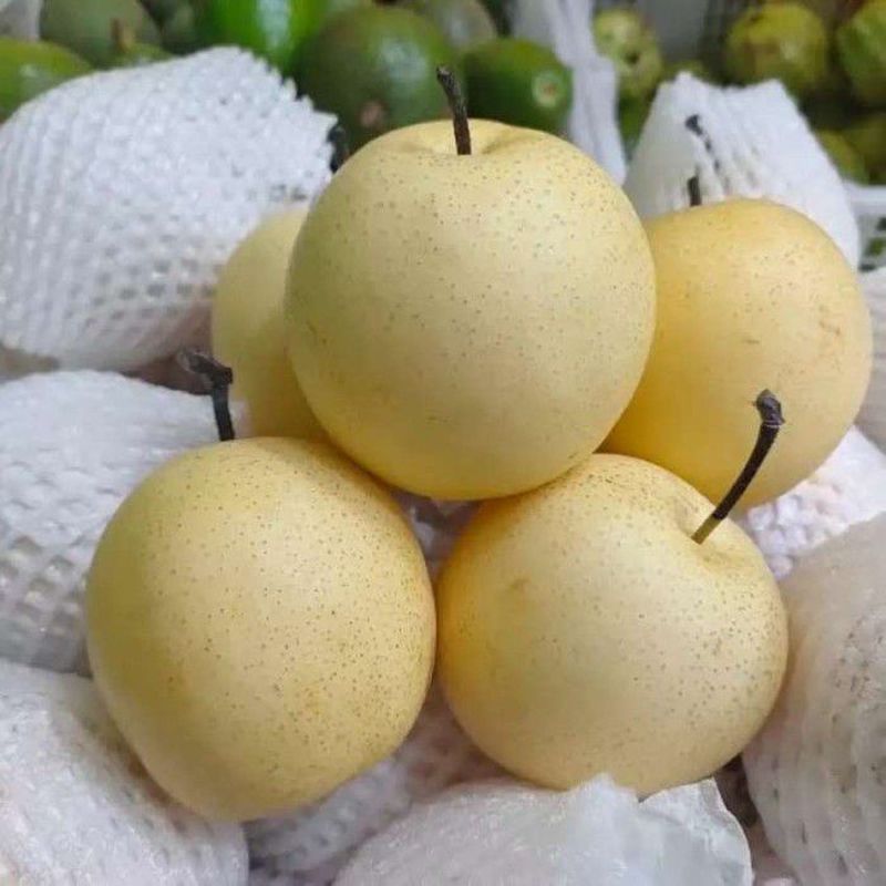 BUAH PEAR