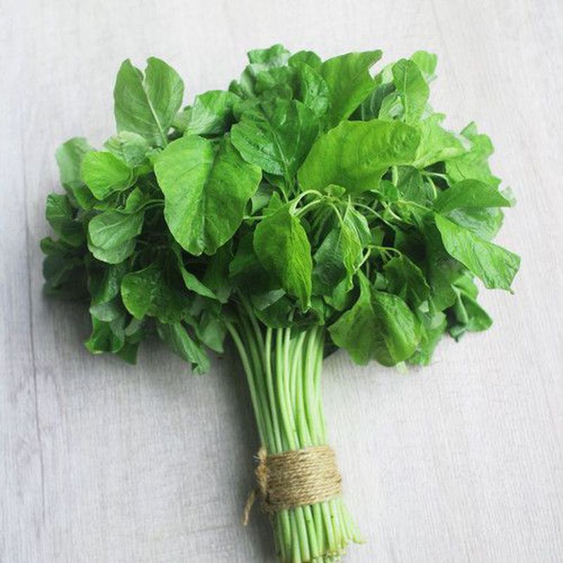 SAYUR BAYAM
