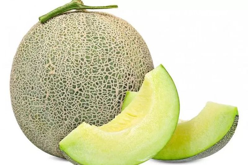 MELON