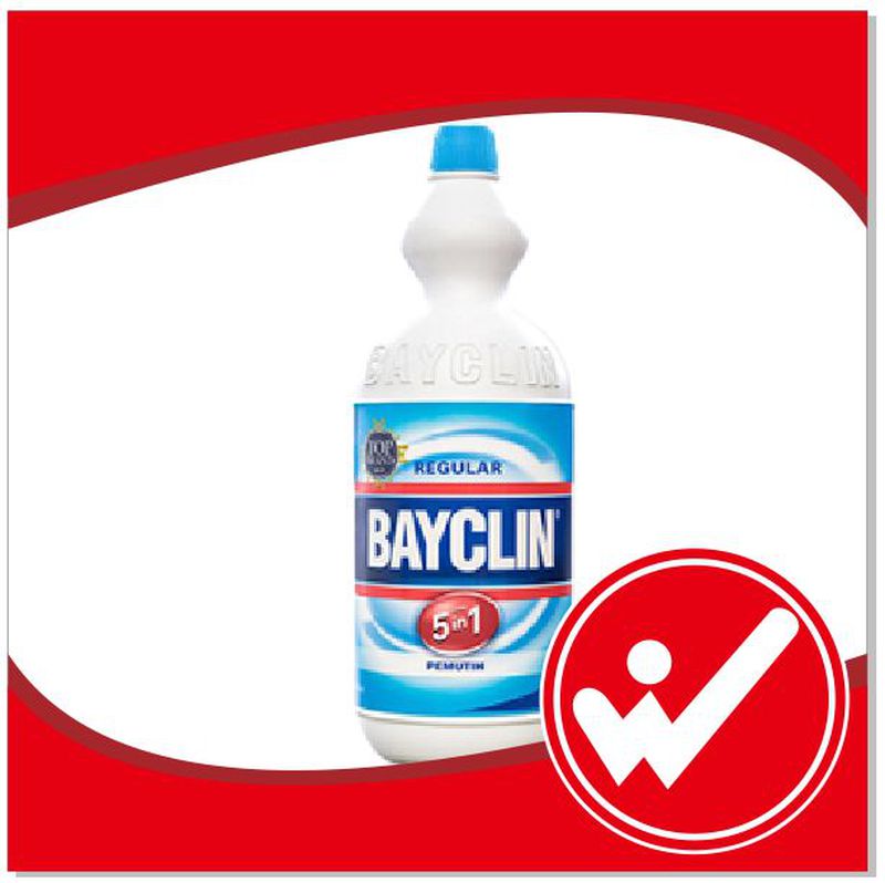Bayclin 1 Liter
