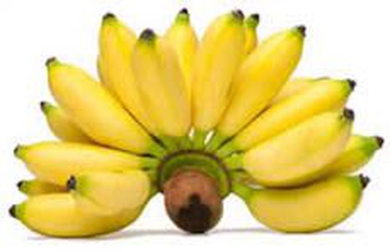 Pisang Mauli