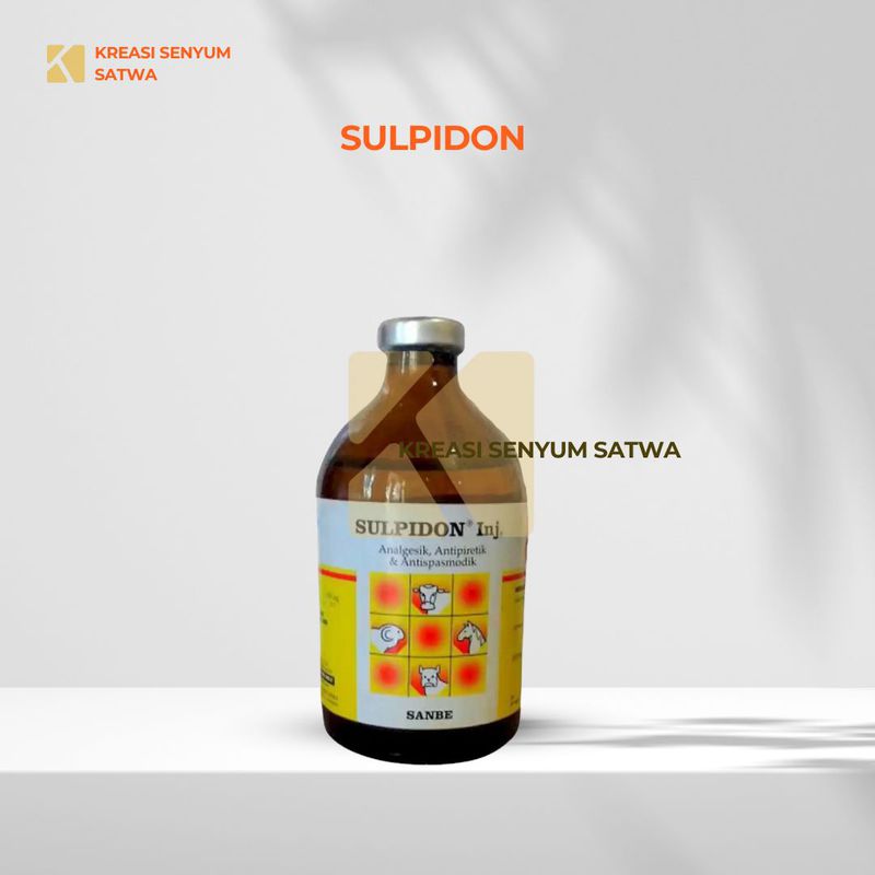 SULPIDON INJ 100 ML