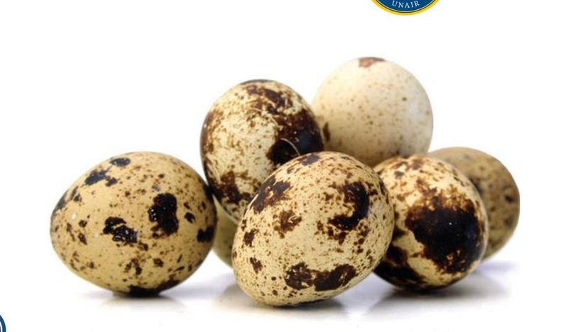 paket Telur Puyuh 1 gram