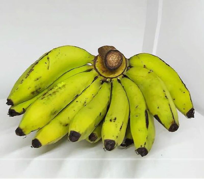 Pisang ambon - 1kg