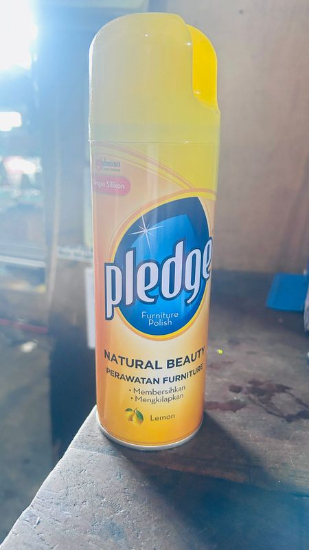 PLEDGE