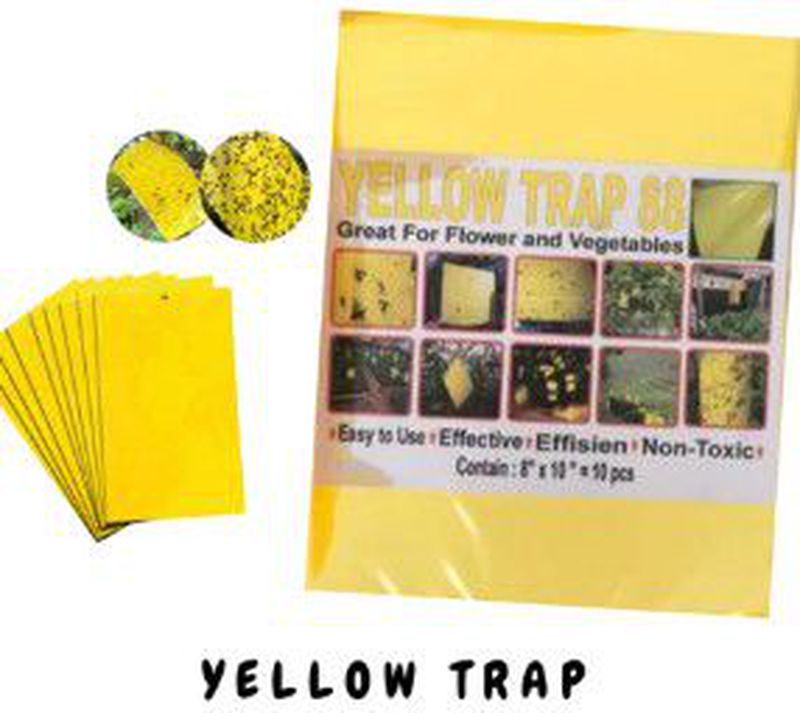PAPER TRAP