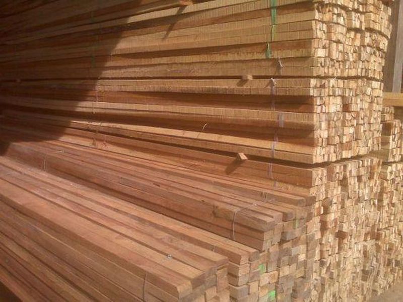 kayu sengon laut usuk 3 meter SUPER