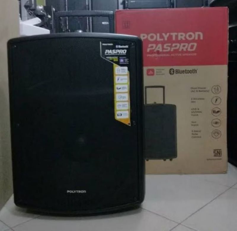 Profesinal Speaker Portable Bluetooth Karaoke Polytron