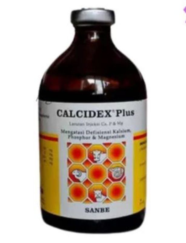 CALCIDEX PLUS 100 ML