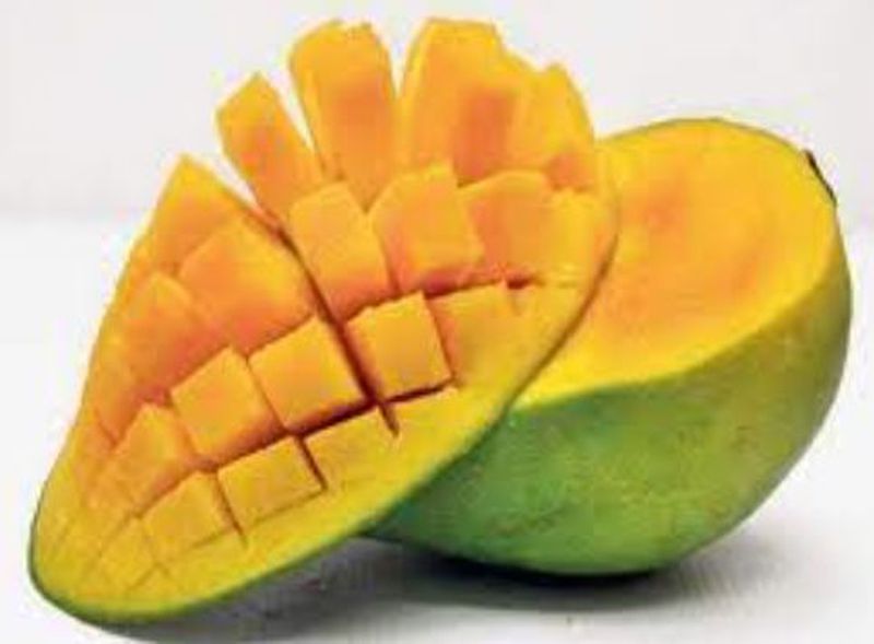 Mangga