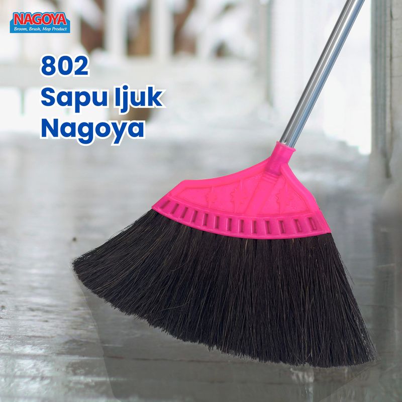 Sapu Ijuk